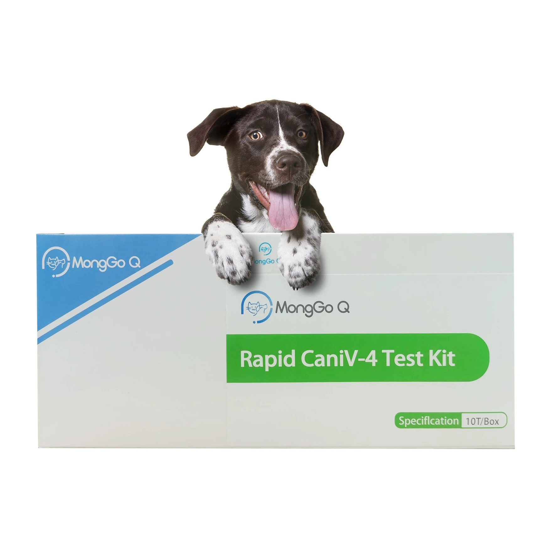 Monggo Q Rapid 4-item Test Kit Caniv-4 Ana/lym/ehr/chw Detection 10 ...