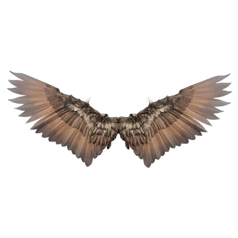 Brown Feather Wings