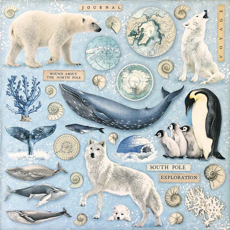 Arctic-sea-animals-Stickers-Crafts-And-Scrapbooking-stickers-kids-toys ...