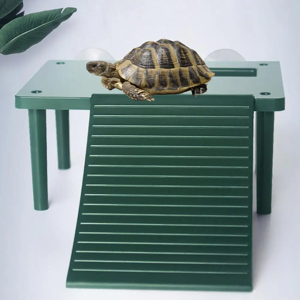 Plataforma-de-apoyo-para-Tortuga-superficie-lisa-sin-rebabas ...