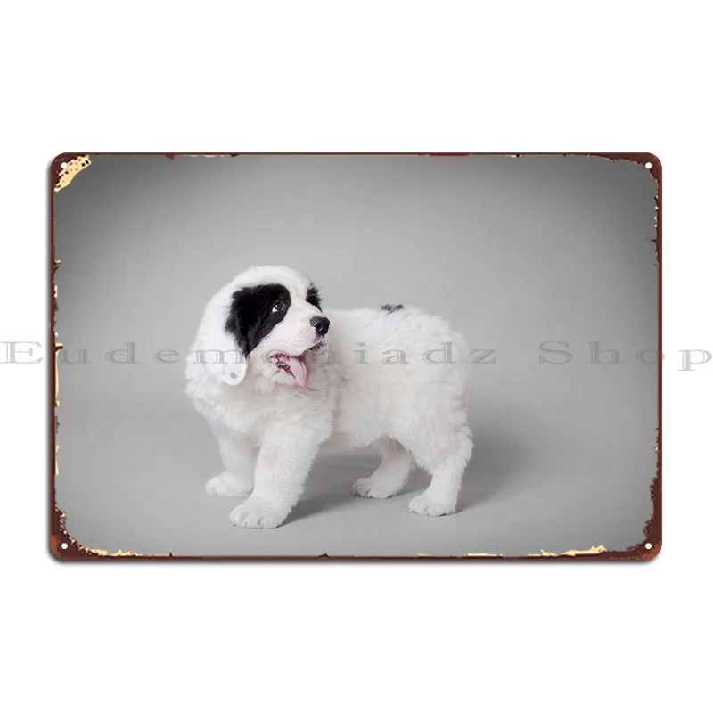 Landseer-Puppy-Metal-Sign-Club-Classic-Cave-Design-Wall-Mural-Tin-Sign ...