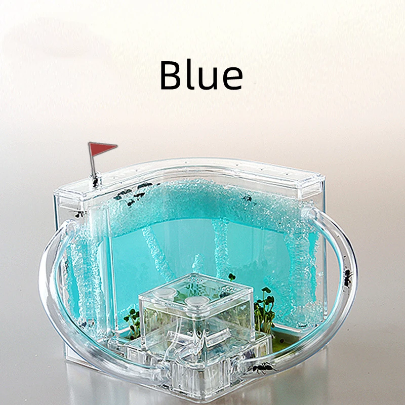 Diy Ant Farm