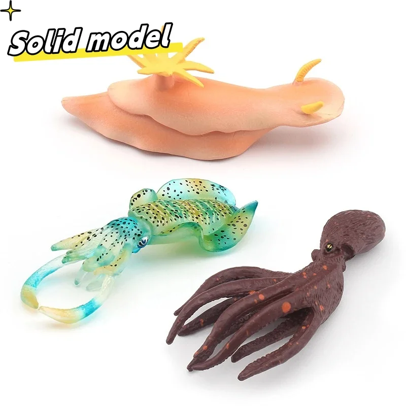 Simulation-Marine-Life-Aplysia-Spotted-Squid-Cuttlefish-Model-Action ...