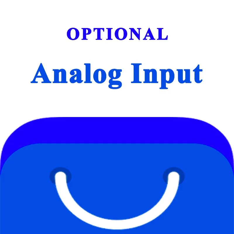 Analog-input-optional.jpg