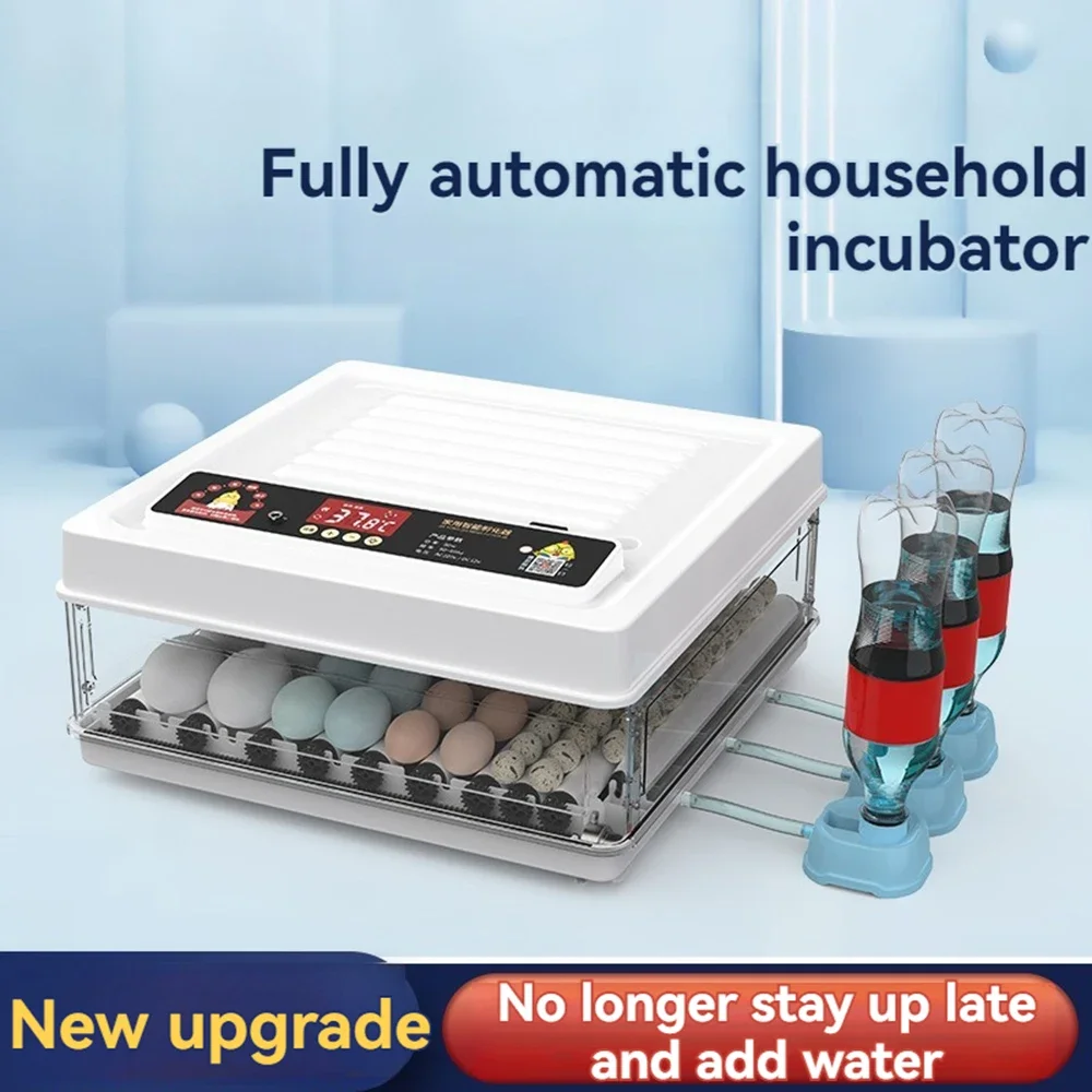 Dual-Power-Automatic-Small-Incubator-Rudin-Chicken-Egg-Holding-Portable ...