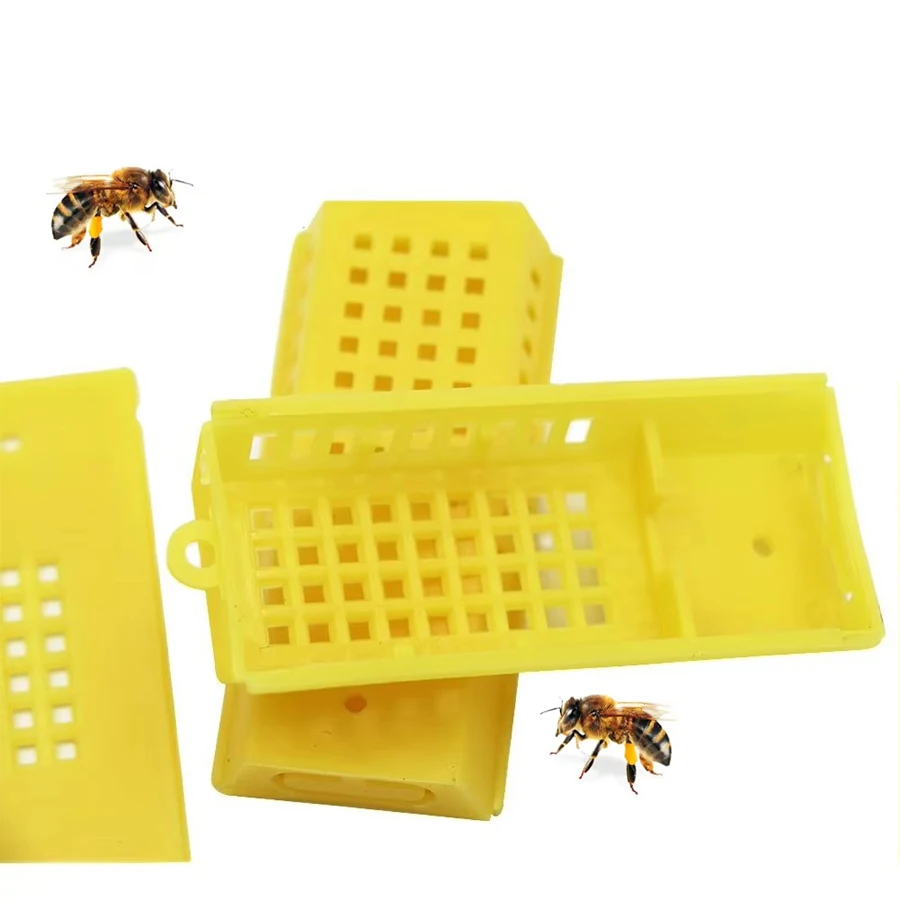 50Pcs Beekeeping Transport Cages Yellow Bees Queen Post Room Cage ...