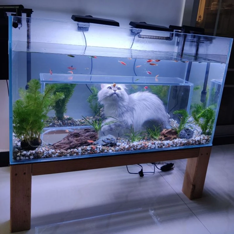 Customized-Cat-Fish-Tank-with-Ultra-White-Glass.jpg