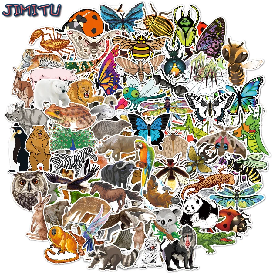 Store Home Products Outdoor Fun Feedback