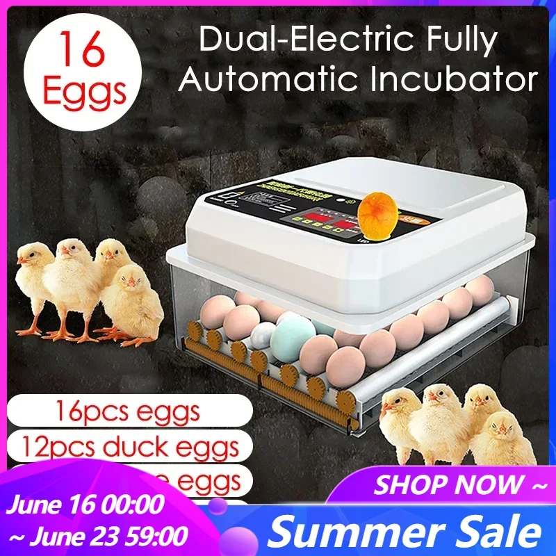 Store Home Products Summer Sale Feedback