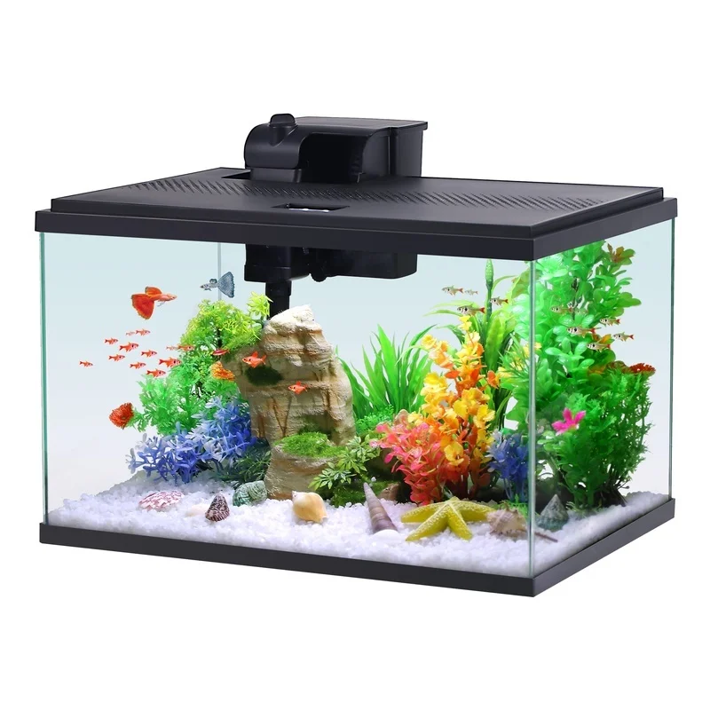 10 Gallon Aquarium Kit – The Critter Hut