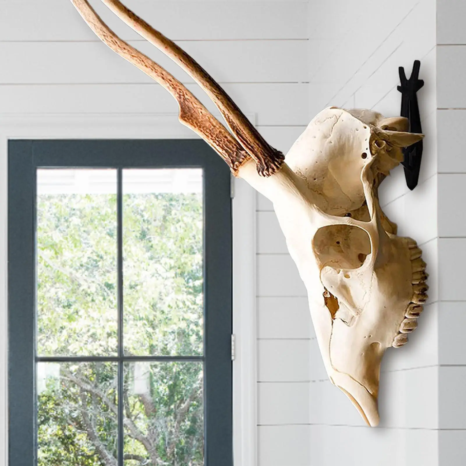 Skull Hanger European Mount Deer Head Hanger Hunting Trophy Mounts For ...