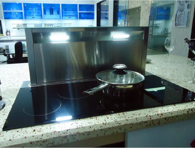 Hidden Kitchen Ceiling Exhaust Fan | ppgbbe.intranet.biologia.ufrj.br