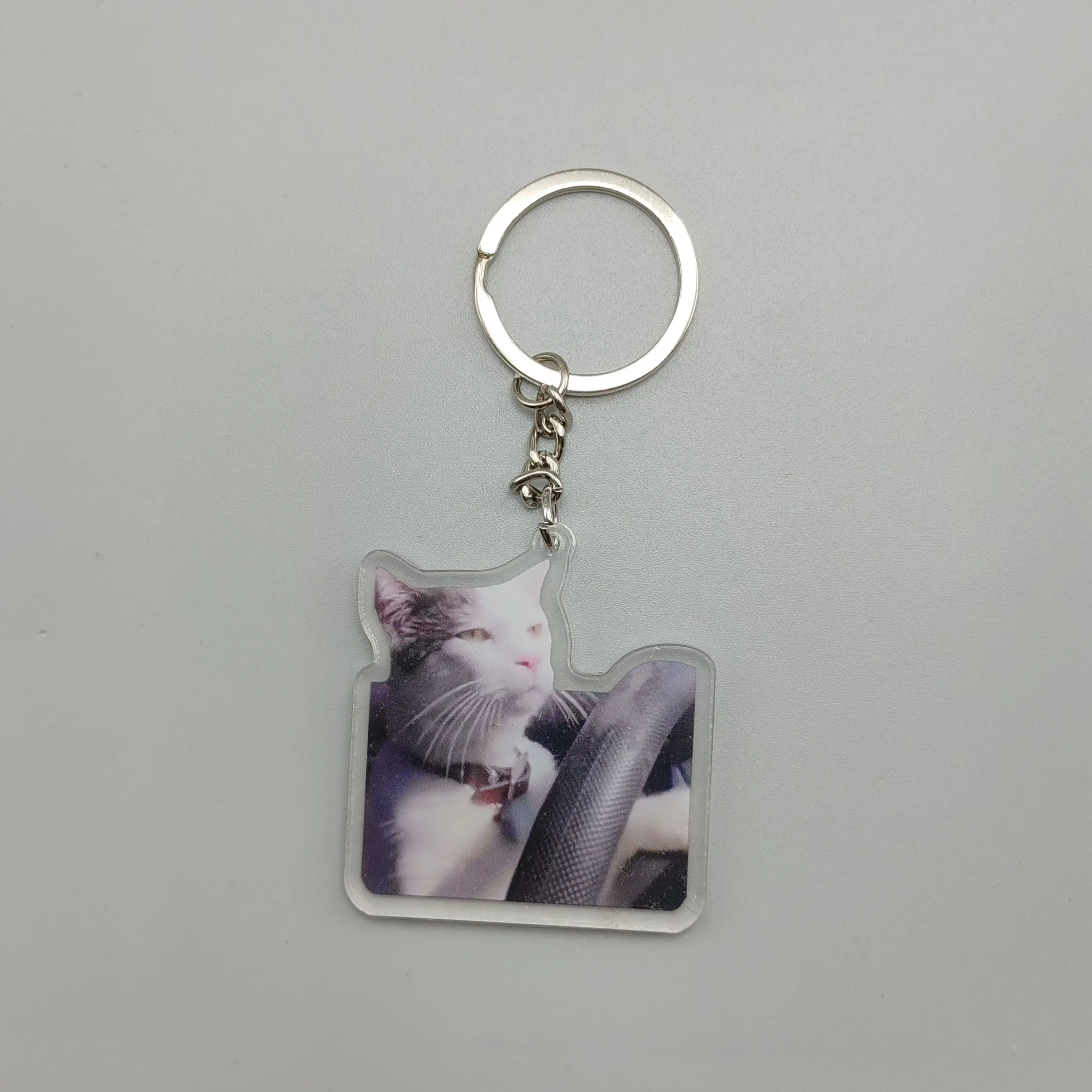 Cat-Meme-Louie-The-Driving-Cat-Meme-Funny-Cat-Cute-Cat-Cool-Keyring ...