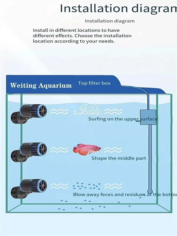 Saltwater Aquarium Setup Diagram
