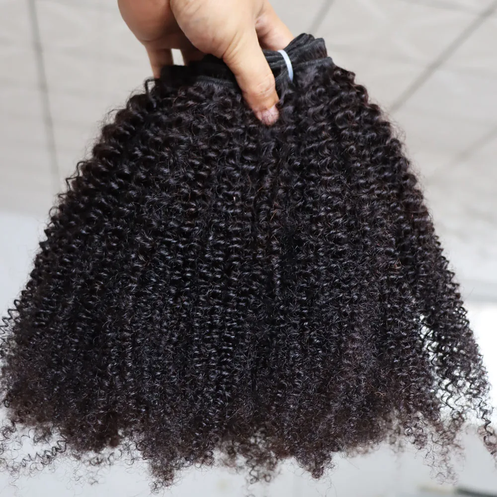 Afro Kinky Curly Weft 100% Human Hair Extensions 3B 3C Natural Black ...