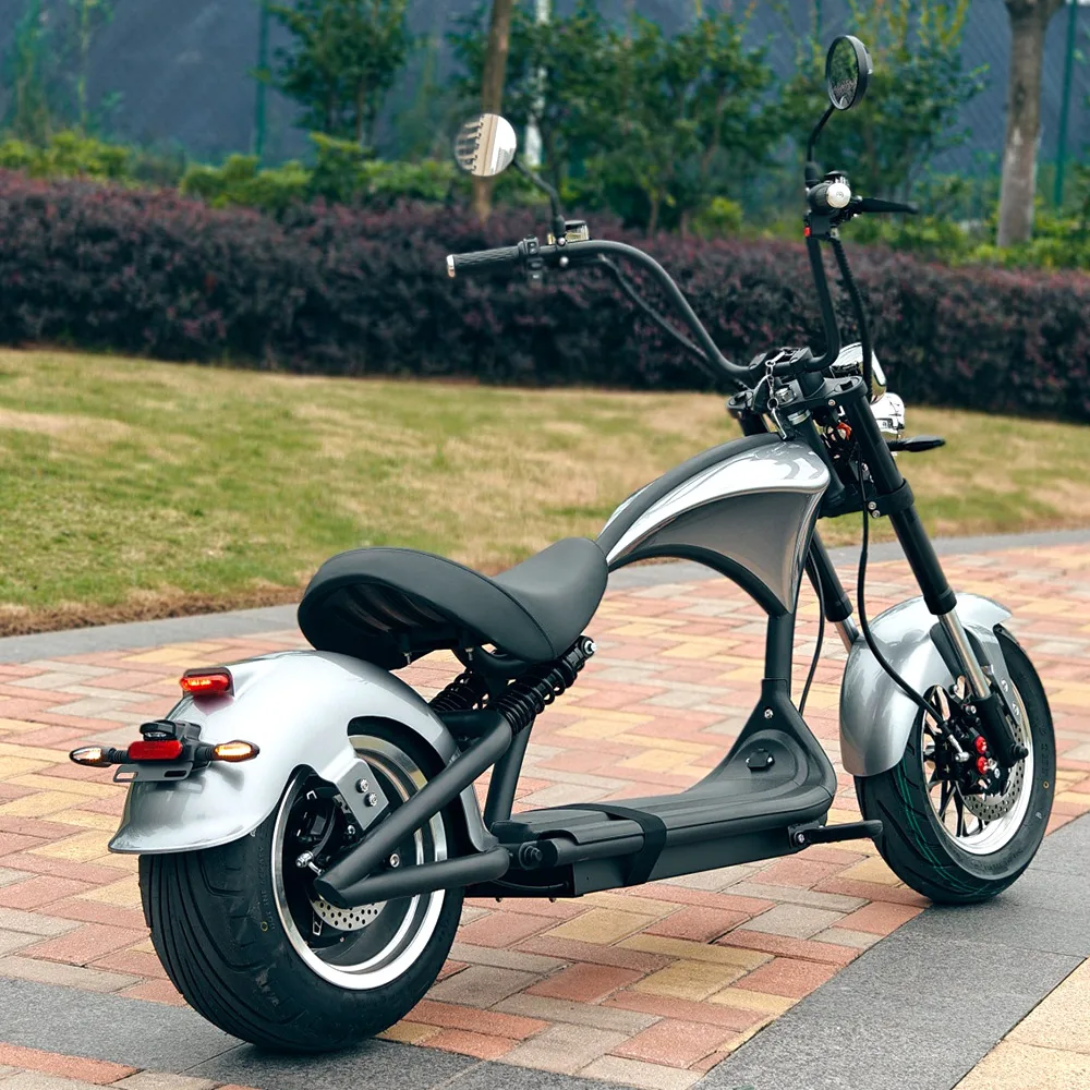 Holland-Warehouse-M1-Fat-Tire-Electric-Moped-Scooter-2000-watt-Citycoco ...