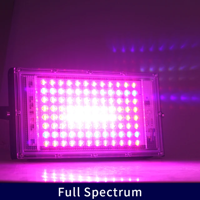 Store Home Products Getaway Deals Feedback