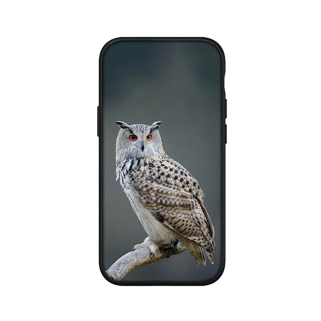 Owl Wallpaper For Iphone