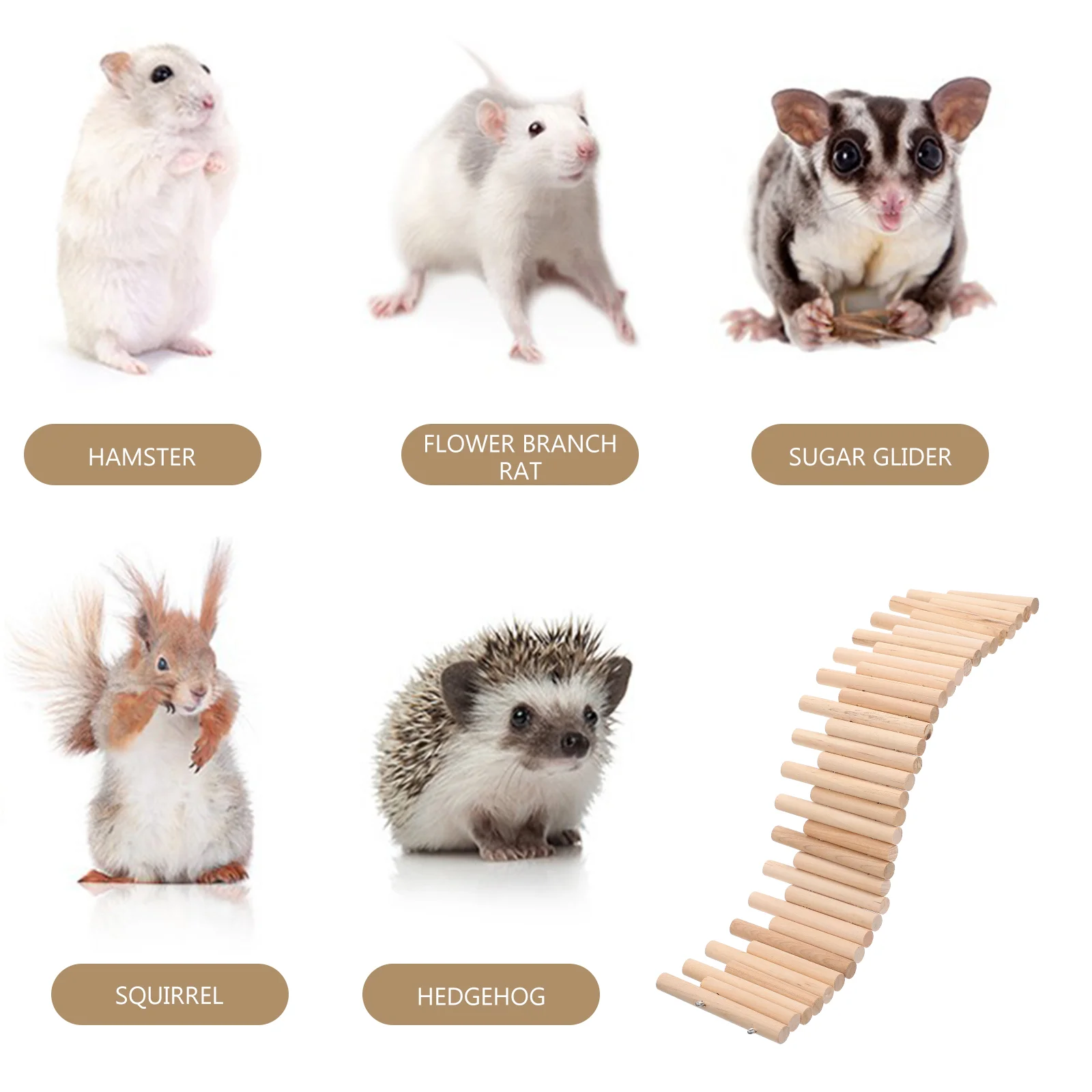 Hamster-Climbing-Ladder-Hedgehog-Arch-Bridge-Cave-Wooden-Fence-Sugar ...