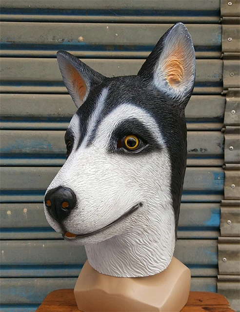 Funny Husky Dog Costumes