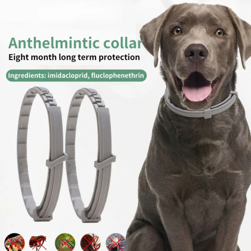 Pet-Flea-And-Tick-Collar-For-Dogs-Cats-Up-Prevention-Collar-Anti ...