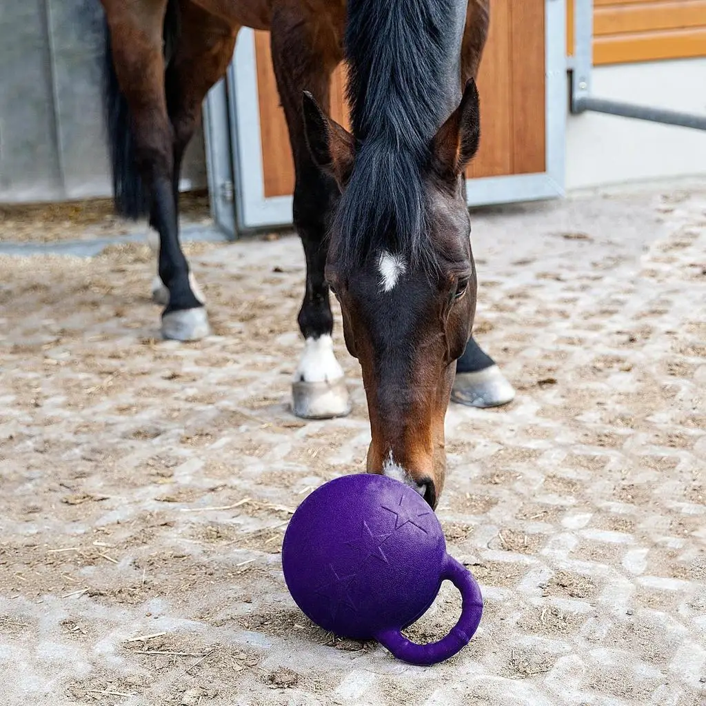 28cm Equine Sports Rubber Jolly Ball Scented Horse Play Toy with Handle ...