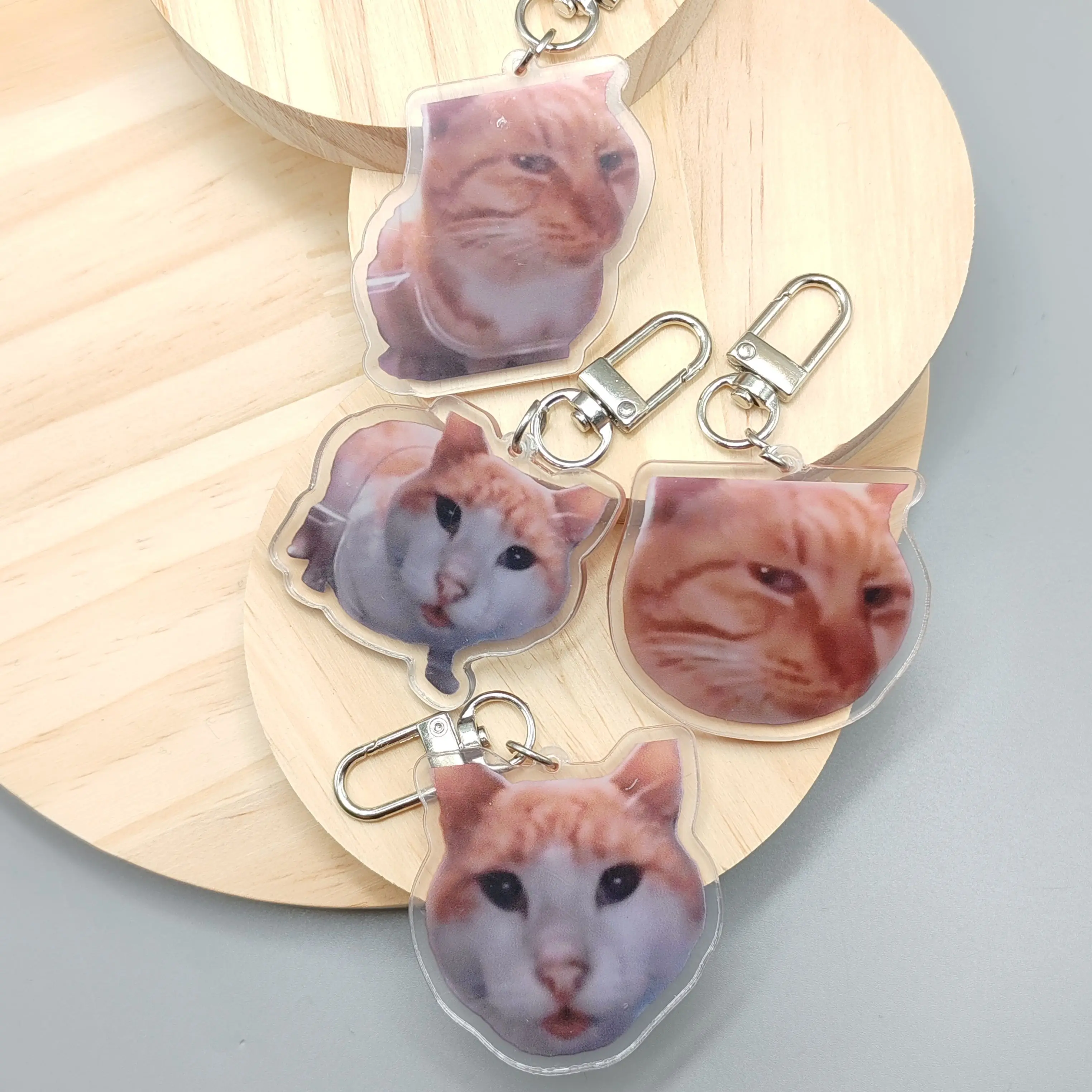 Silly-Cat-Feeder-Camera-Cats-Cat-Looking-At-Camera-Meme-Mr-Fresh-Cat ...