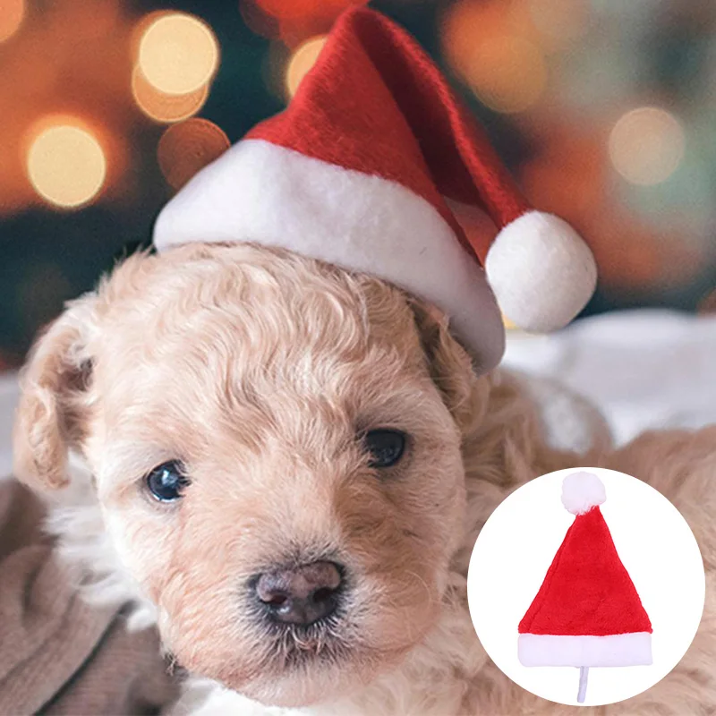 Christmas Pet Dog Cat Santa Hat Small Puppy Xmas Holiday Costume ...