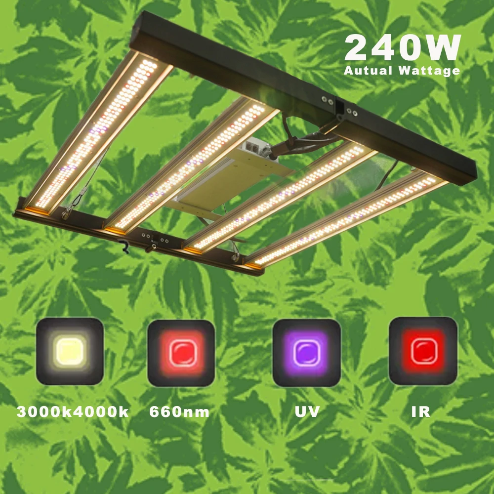 Thailand-Hotsale-240W-Samsung-lm281b-Chinese-Driver-with-UL-Group ...