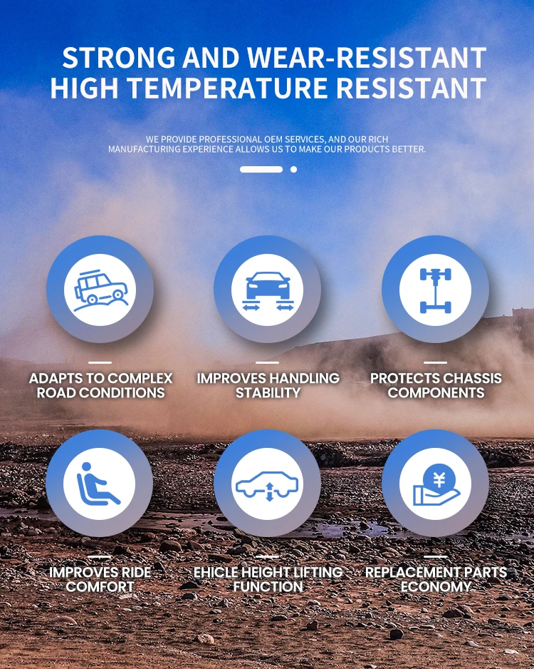Для Mercedes W251 CYS Пневматическая пружина спереди 2513203013 ...