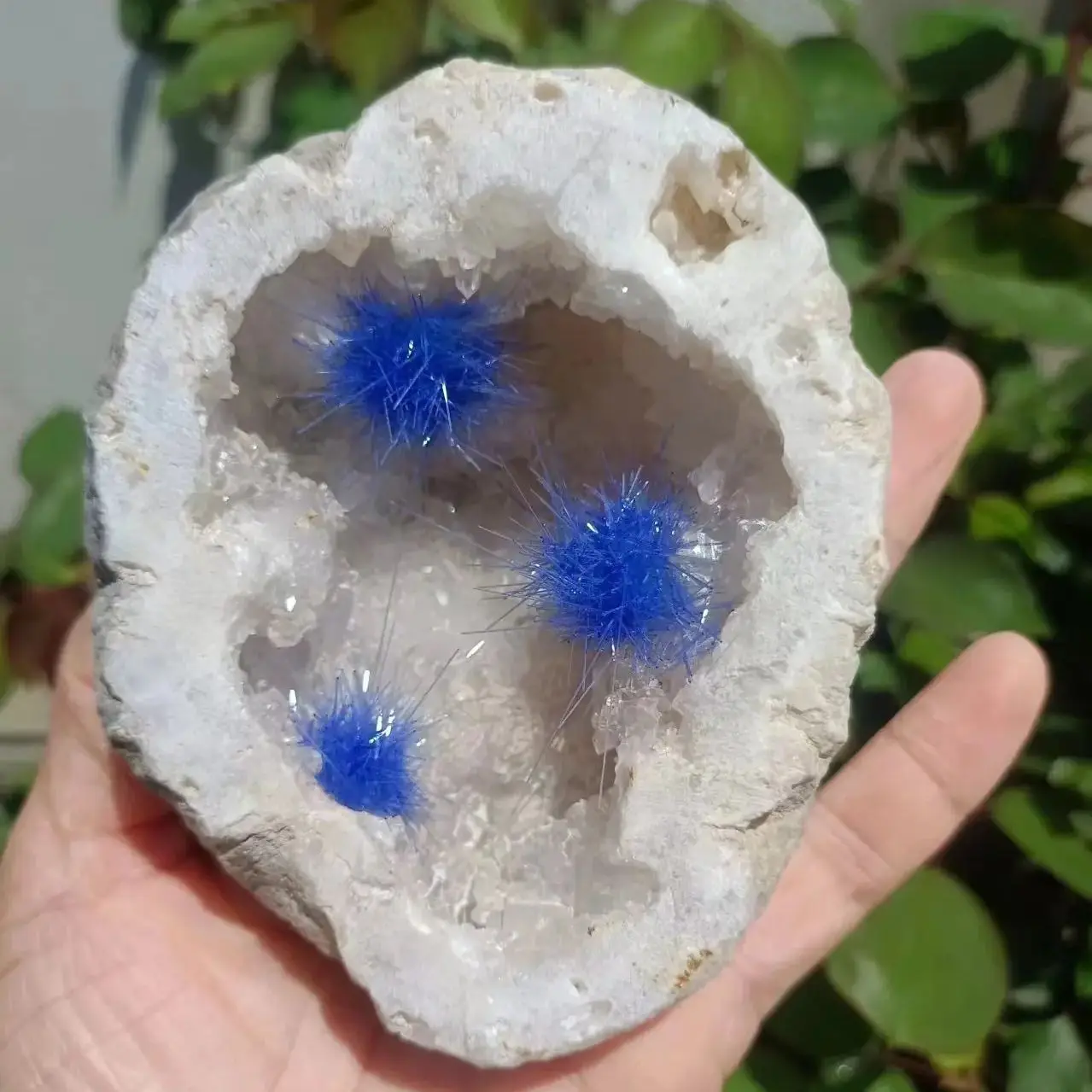 Natural Sphalerite and Symbiotic Blue Cluster, Quartz Crystal, Mineral ...