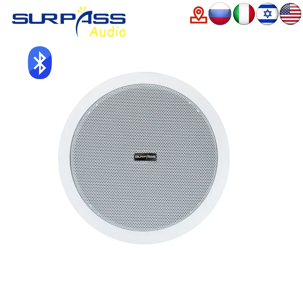 Built-in Class-D Amplifier Full Range Bluetooth-compatible Ceiling ...