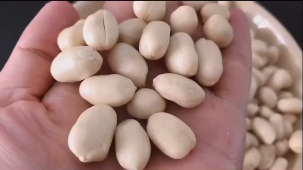 Raw Peanuts White Kachi Moong Phalli 1KG Pack | Daraz.pk