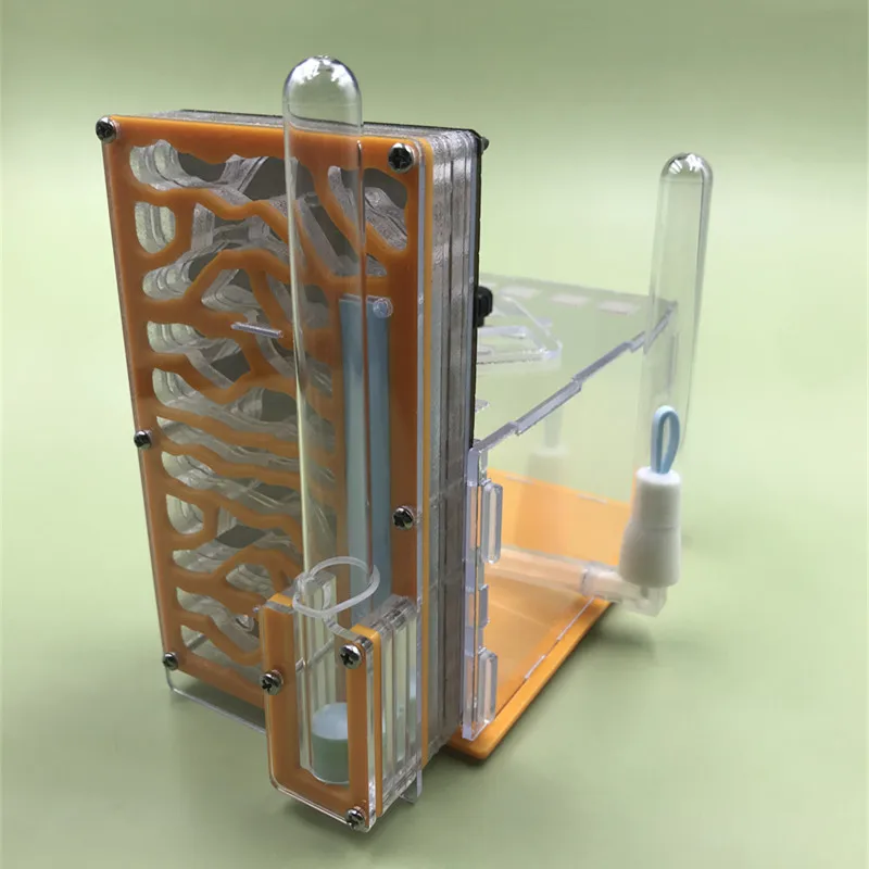 Ant Farm Design