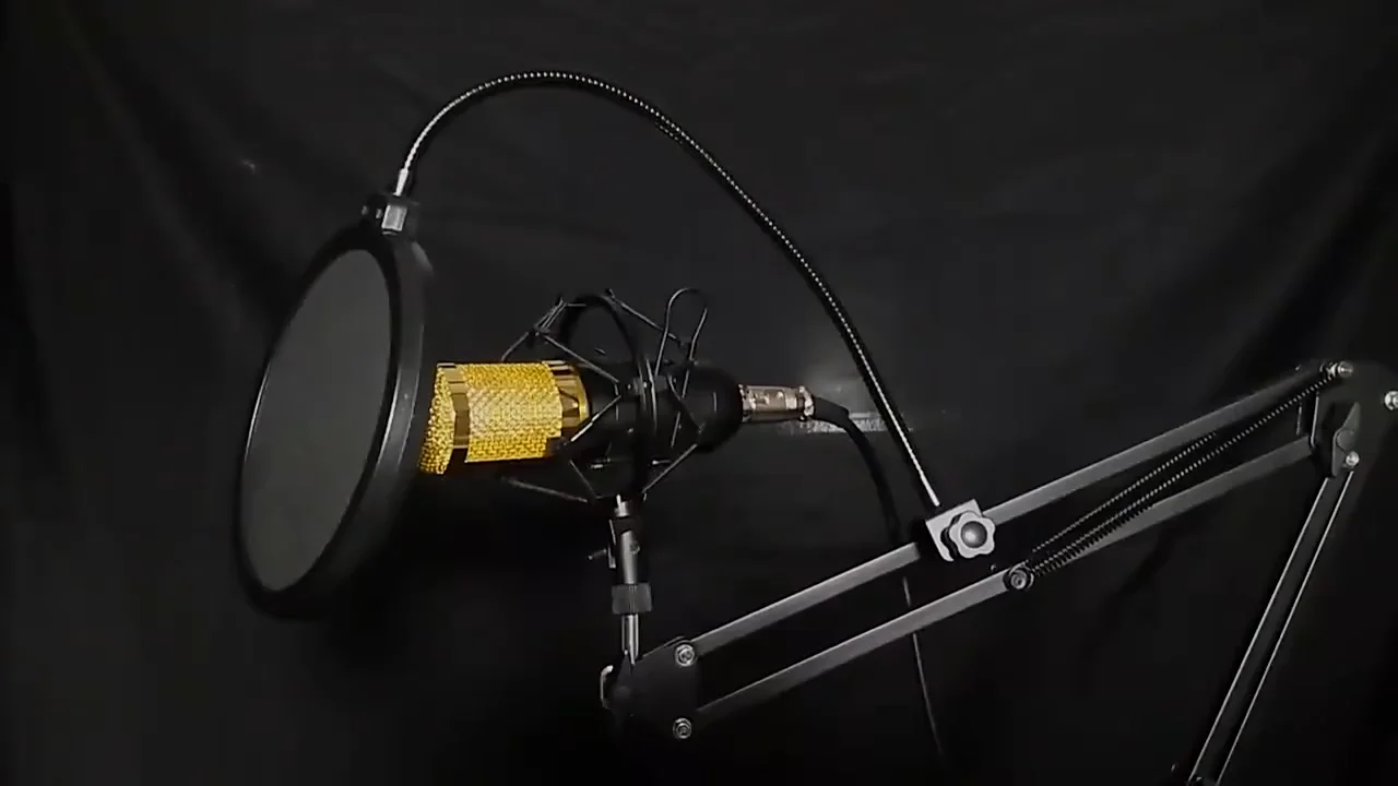 TechDepot BM800 Condenser Microphone Kit with V8/V8s Dual Channel Sound Card for Studio ...