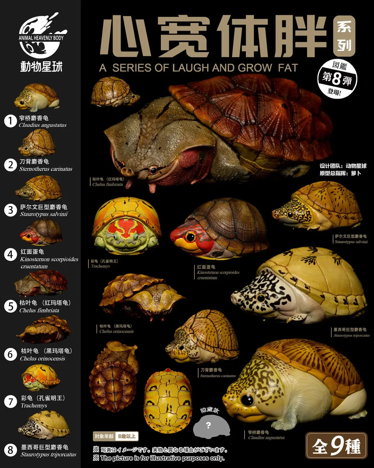 Animal-Planet-08-Blind-Box-Model-Matamata-Turtle-Stink-pot-Turtle ...
