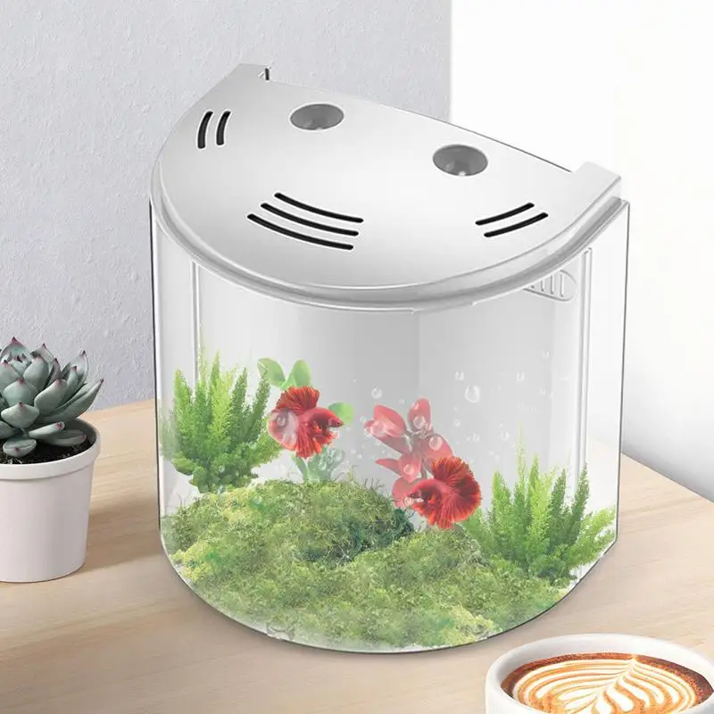 Transparent-Fish-Aquarium-Home-Decoration-Small-Fish-Tank-Aquarium-With ...