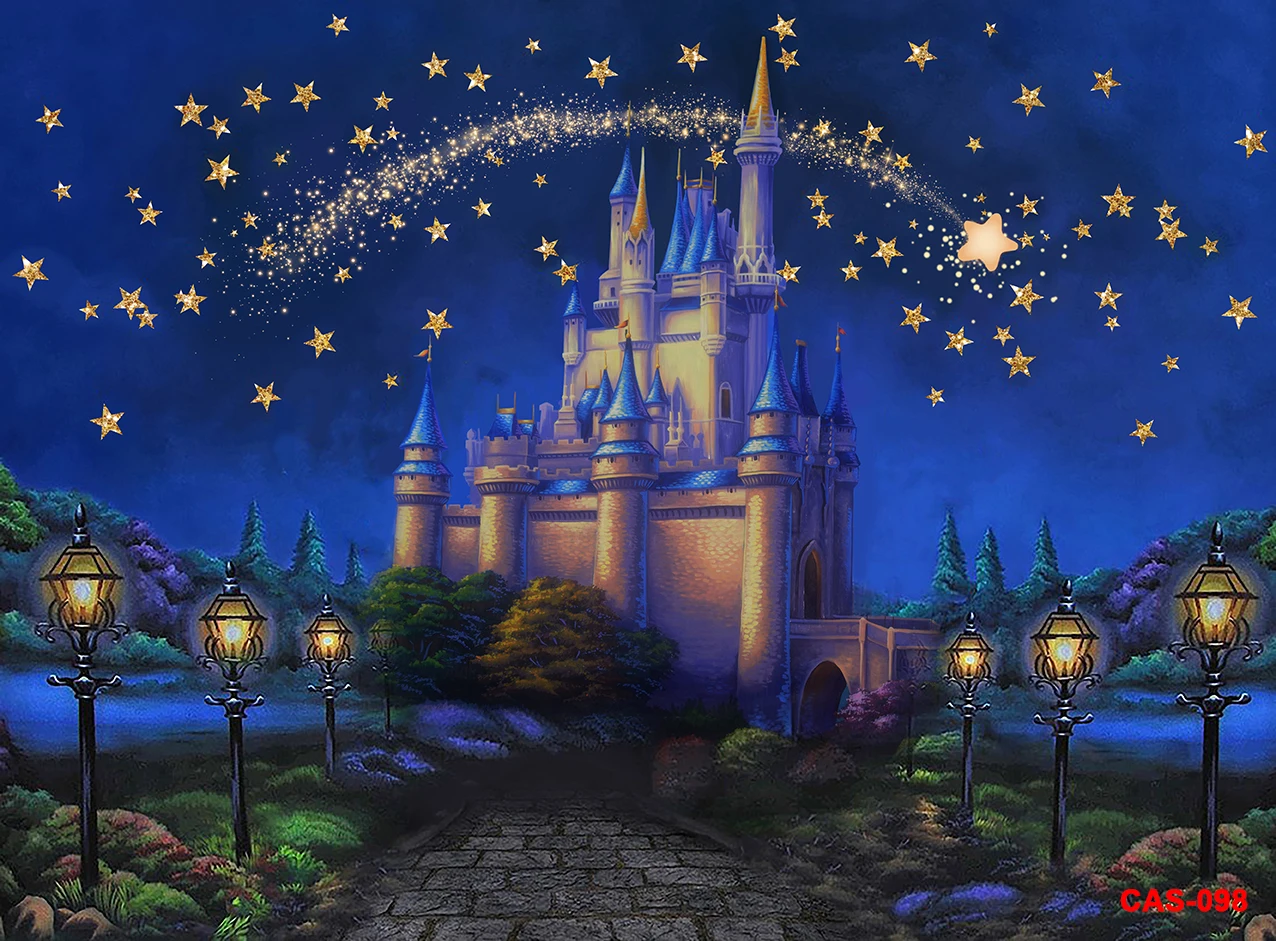 Disney Castle Background