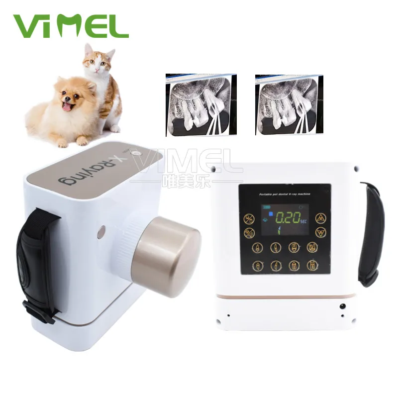 Pet Dental X ray Machine Digital Intraoral System Intra-Oral Xray ...