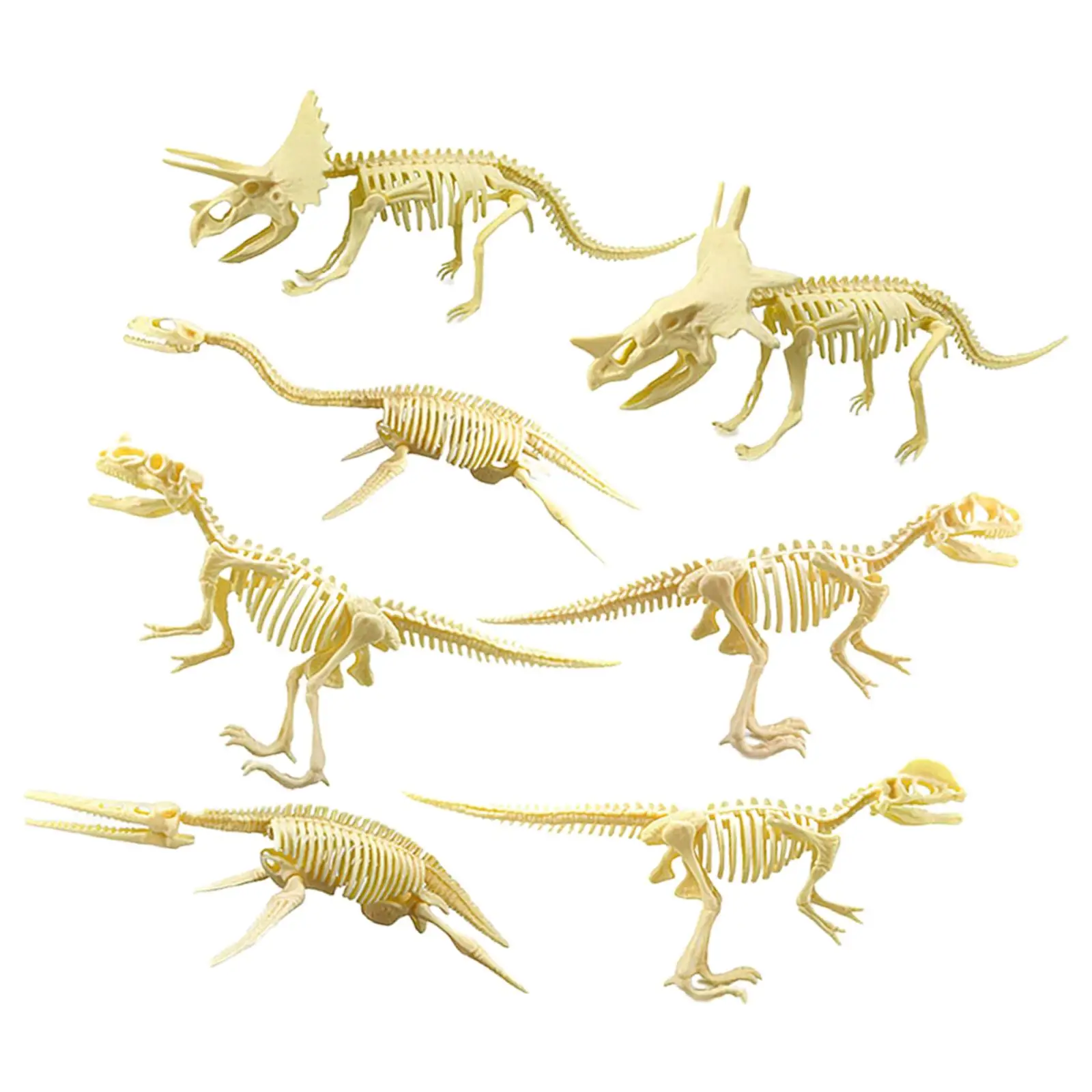 Dinosaur Fossils For Kids