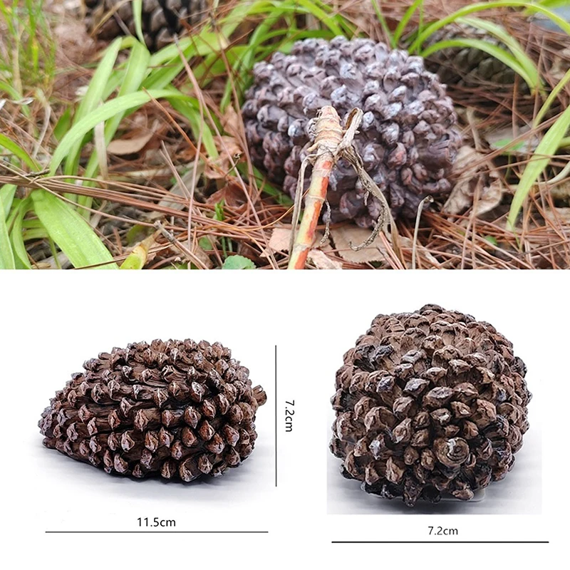 Outdoor-Garden-Key-Safe-Box-Hidden-Pine-Cones-Hide-Keys-In-Fake-Pine ...