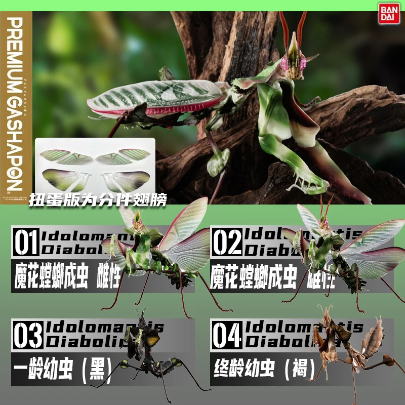 Spot-Bandai-Ornaments-Twisted-Egg-Gaint-Devil-s-Flower-Mantis-Larva ...