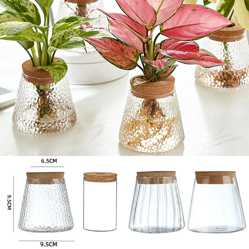 Simple-Transparent-Glass-Flower-Pots-Home-Decorative-Hydroponic-Bottle ...