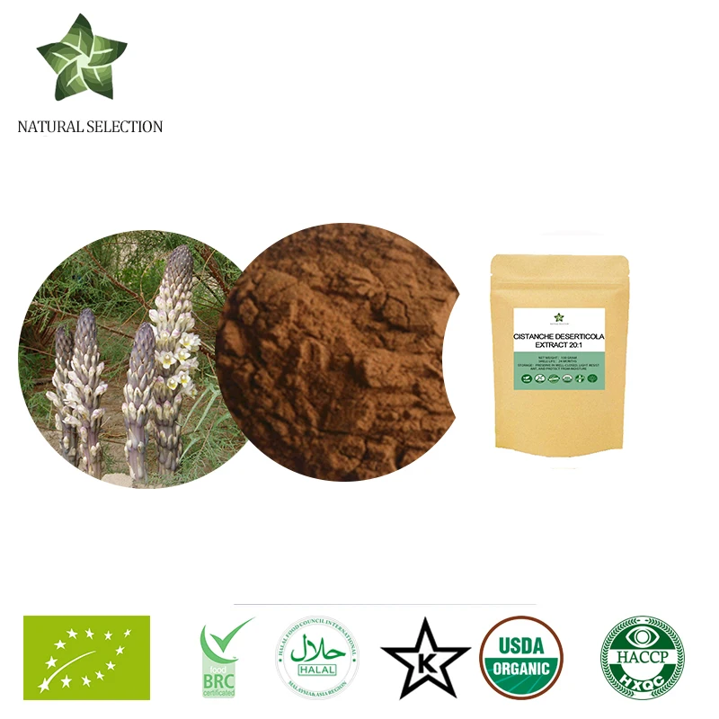 100g-1000g 20:1 Cistanche Deserticola Extract Powder Factory Direct ...