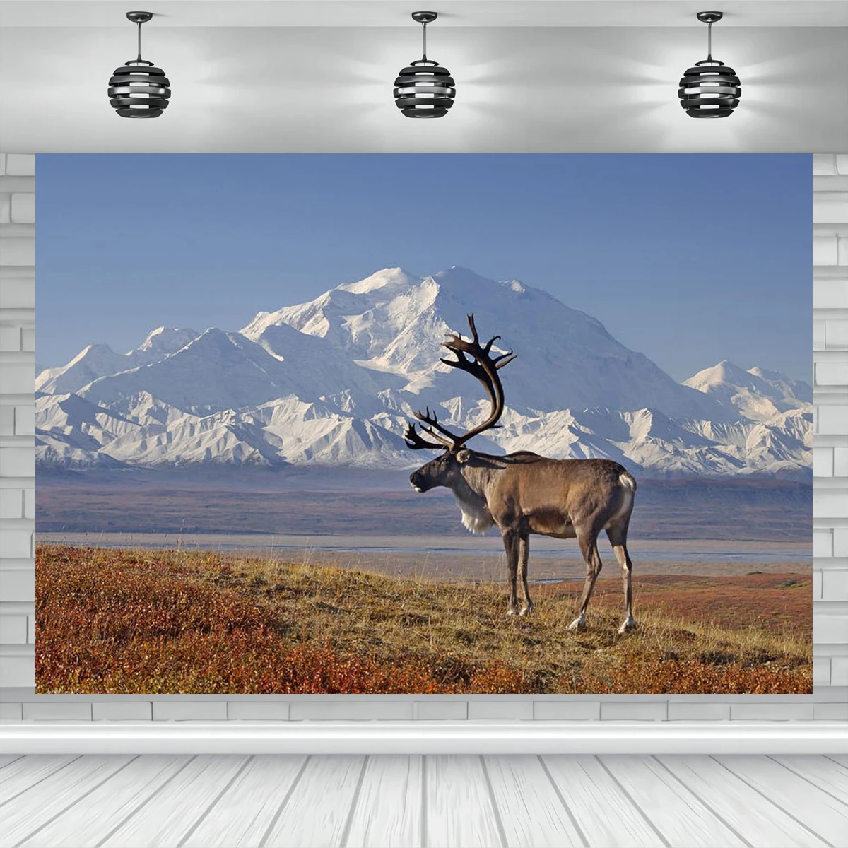 Store Home Products Feedback