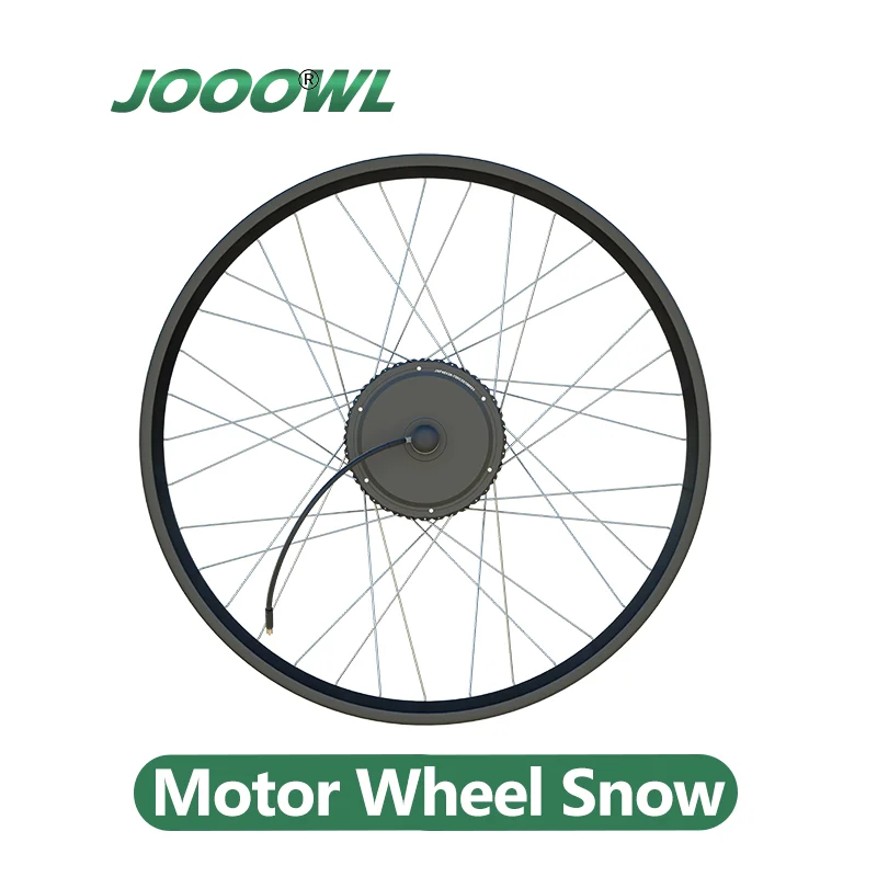 Electrik Bike Motor Wheel 48V Snow 20/26inch Rear Widen the Motor Wheel ...