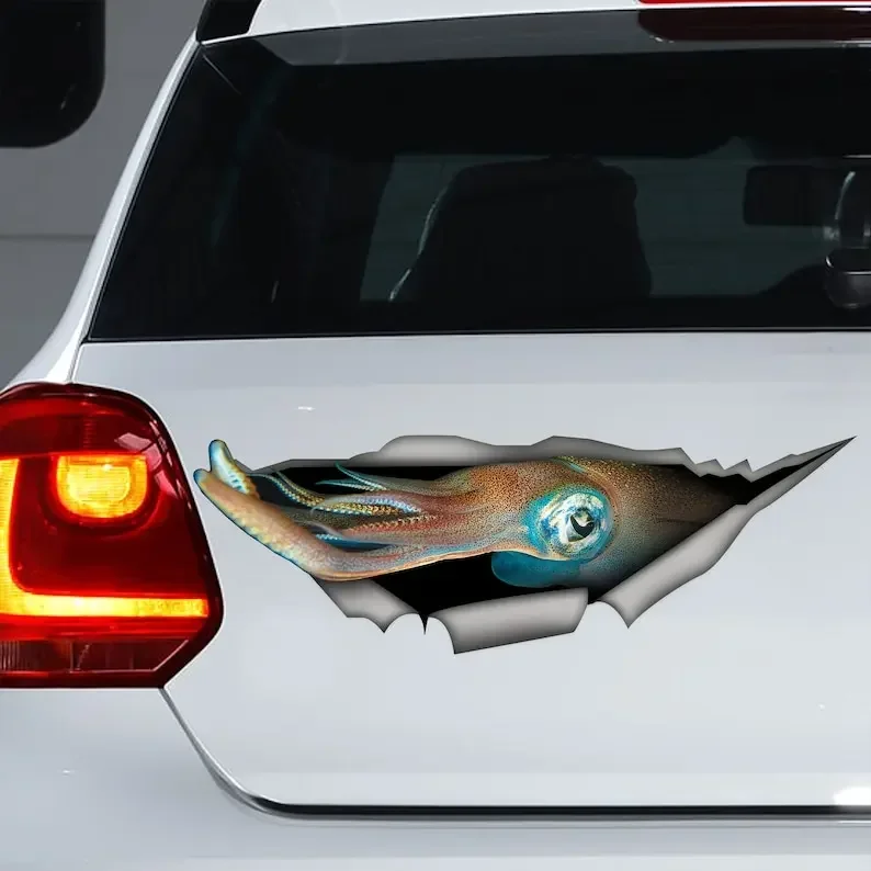 Squid decal, Squid car sticker, Squid magnet, funny car decal ...