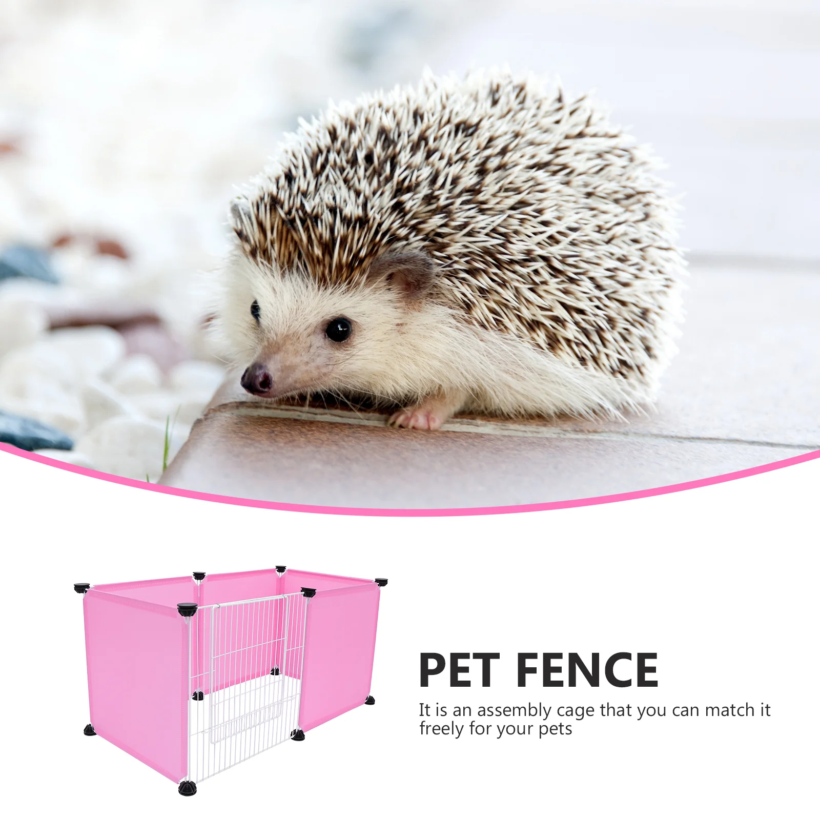 Cute Hedgehog Cages