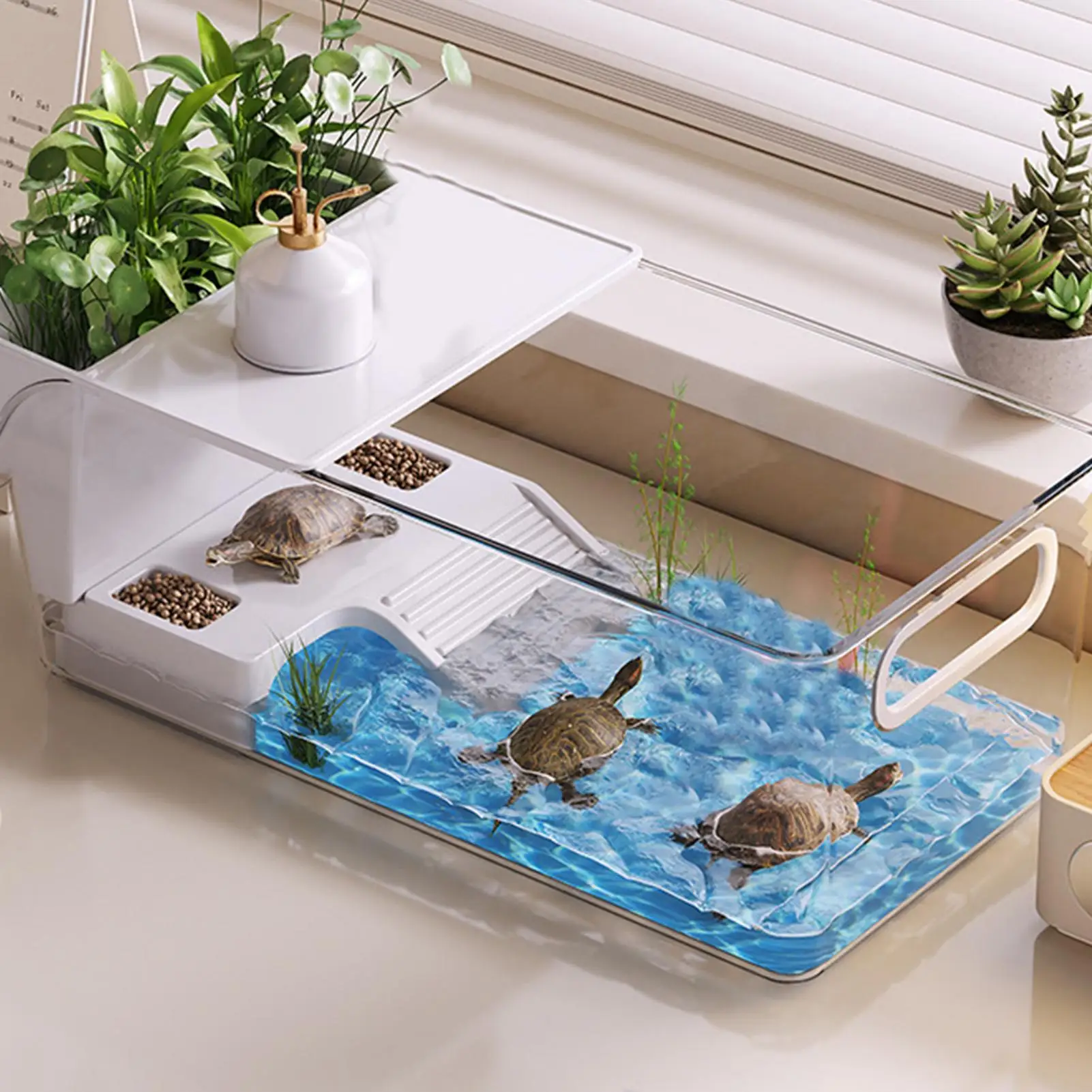 Clear Turtle Tank with Basking Stage – Pet Planets Store