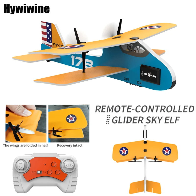 Professional RC Plane 2.4G Radio Remote Control Airplane EPP Foam ...